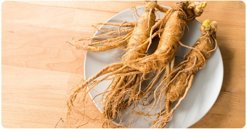 8 Benefits Of Asian Ginseng: Dosage & Safety | The Botanical Institute