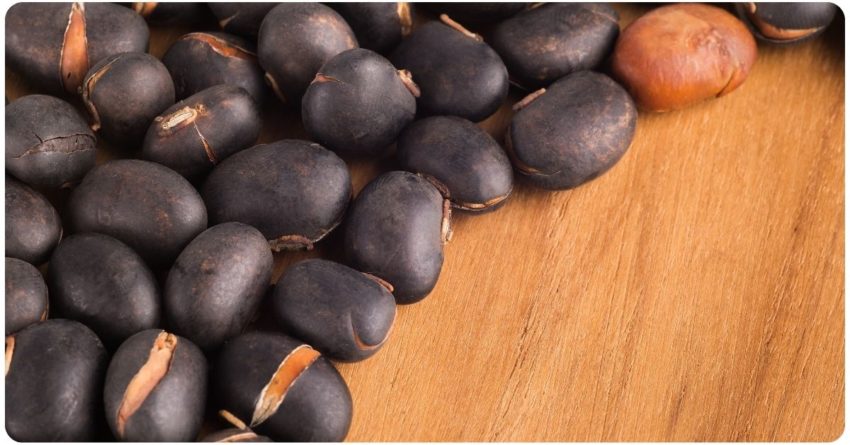 6 Benefits Of Mucuna Pruriens: Dosage & Safety | The Botanical Institute