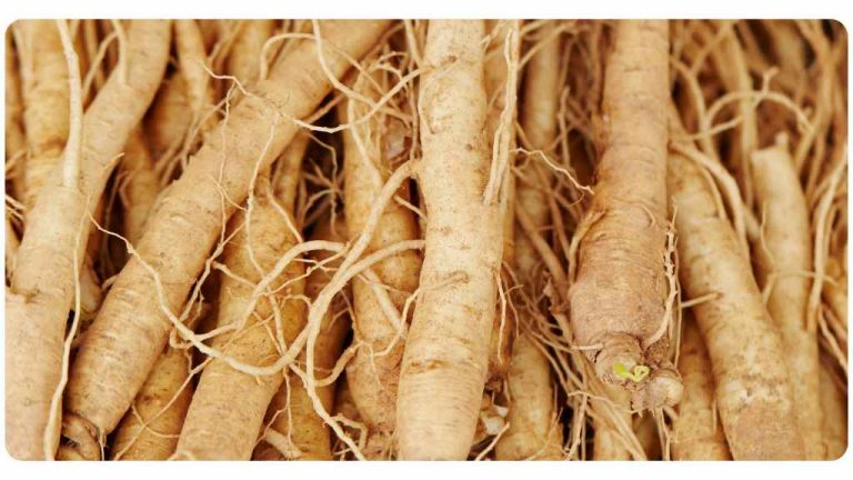 Ginseng Vs. Ginger: 3 Key Similarities & Differences | The Botanical ...