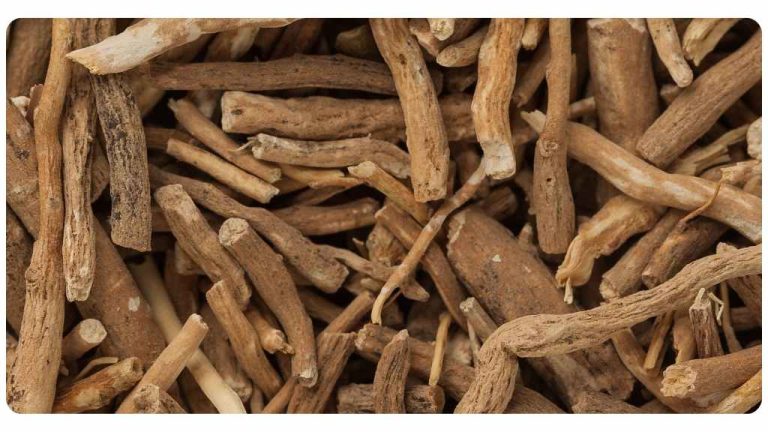 The 6 Best Herbs For Testosterone Production | The Botanical Institute