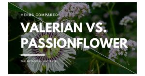 Passionflower Vs. Valerian Root: 3 Key Similarities & Differences | The ...