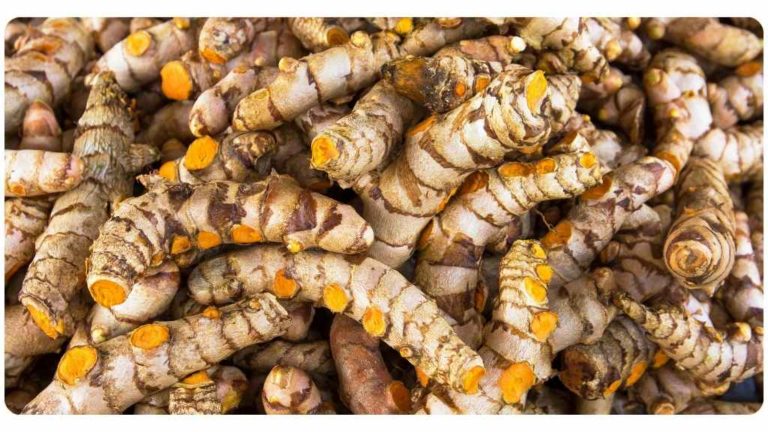 8 Turmeric Benefits: Dosage, & Safety | The Botanical Institute