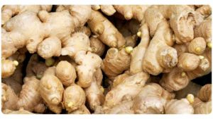 The 10 Best Herbs For Arthritis | The Botanical Institute