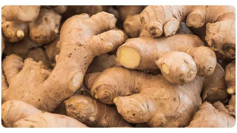 The 10 Best Herbs For Arthritis | The Botanical Institute