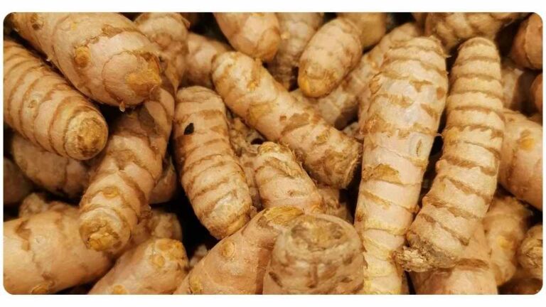 The 10 Best Herbs For Arthritis | The Botanical Institute