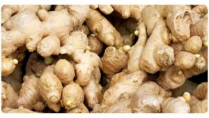 Turmeric Vs. Ginger: Similarities & Differences Explained | The ...