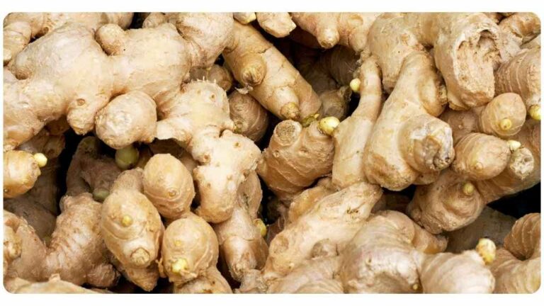 Turmeric Vs. Ginger: Similarities & Differences Explained | The ...