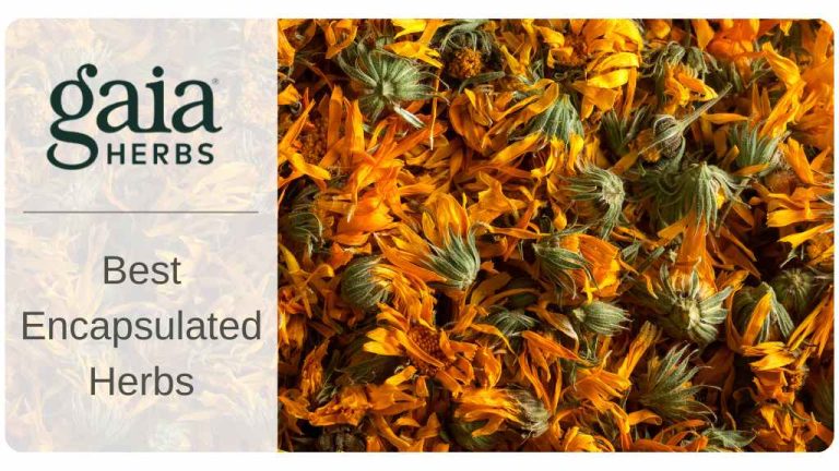 The 5 Best Online Herb Suppliers | The Complete Buying Guide | The ...