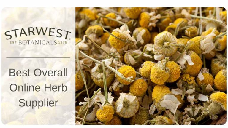 The 5 Best Online Herb Suppliers | The Complete Buying Guide | The ...