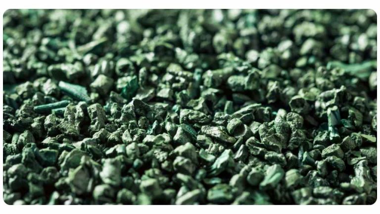 6 Herbs High In Iron | The Botanical Institute
