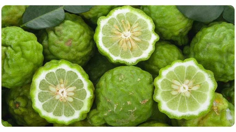 Citrus Bergamot For Cholesterol | The Botanical Institute