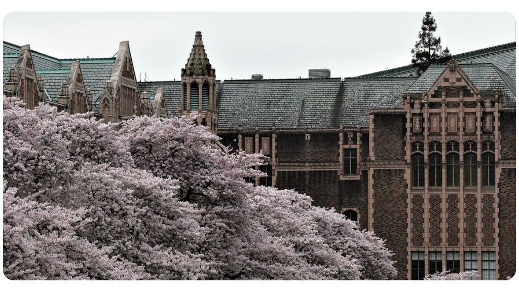 Best Colleges And Universities Offering A Botany Major 5 Best Botany